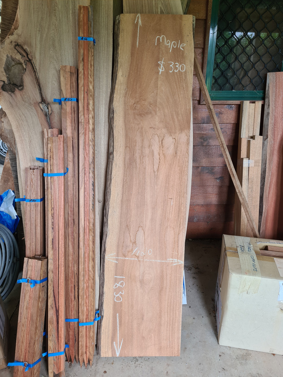 Queensland Maple Slab – artistreegallery